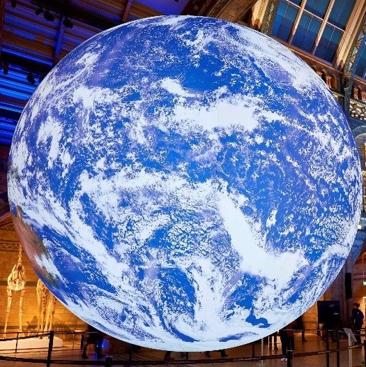 Crisis Response Journal : The UK’s Natural History Museum declares a ...