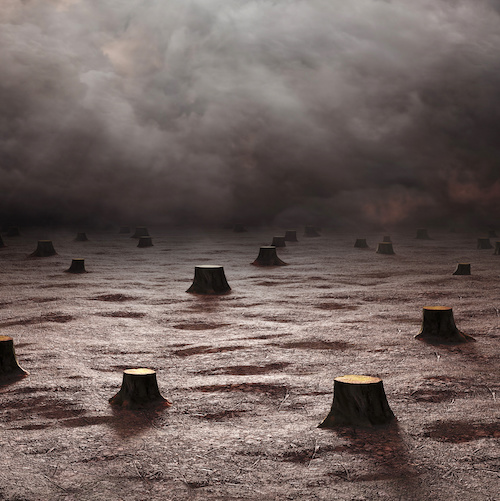 Crisis Response Journal : Deforestation increases risk of flash ...