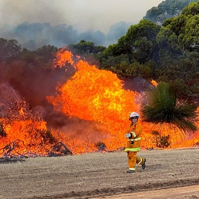 Crisis Response Journal : Australia’s bushfire response expose gaps in ...
